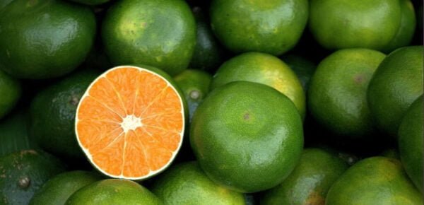 Philippine Fruits To Try When Visiting Home (Part 2) | KUBO