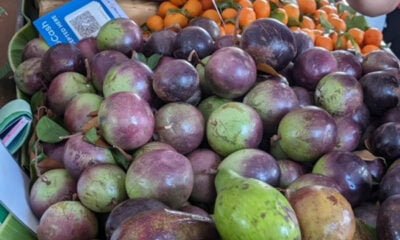 Philippine Fruits To Try | KUBO.com.ph