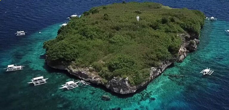 Top 10 Dive Sites In Cebu, Philippines